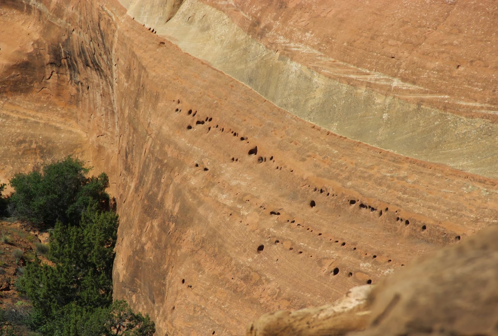 In the Company of Plants and Rocks: September 2013