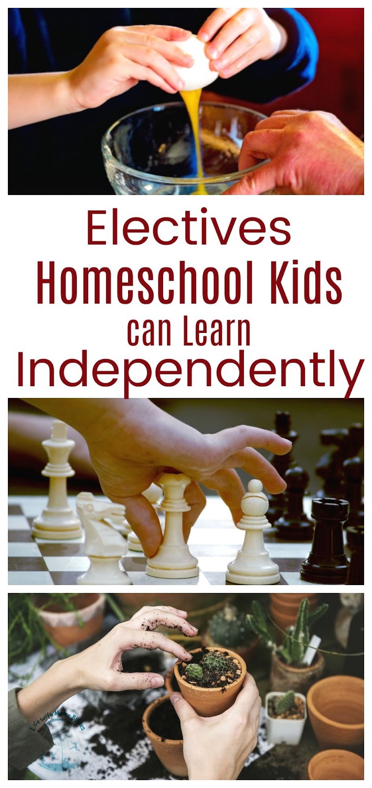 How to Let Homeschool Kids Learn Electives Independently - Life with ...