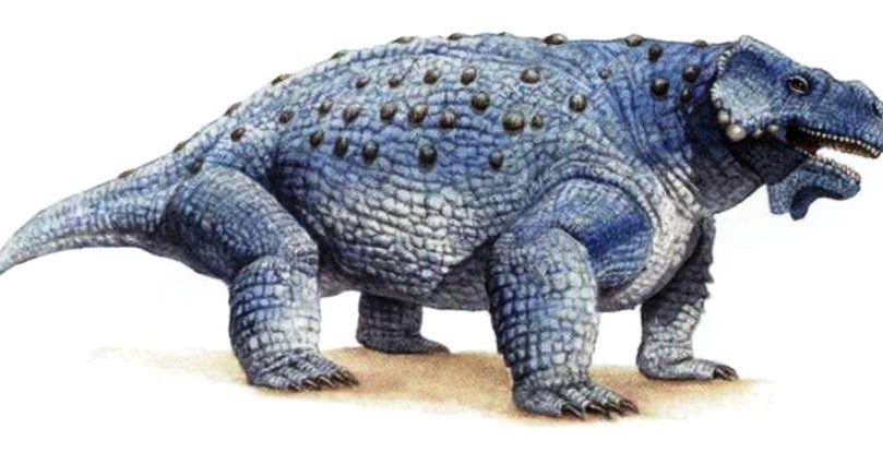 Blog de la Vida Prehistórica: Pareiasauros