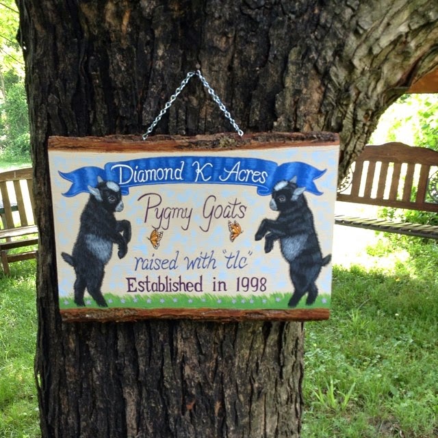 Phils4winds; paintings on Wood and Slate : Dairy Goat Show Award, goat ...