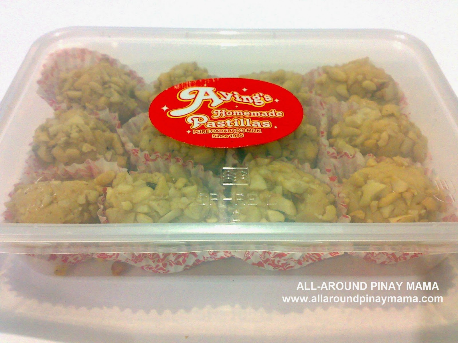 Aying's Homemade Pastillas: A Taste of Home | All-Around Pinay Mama