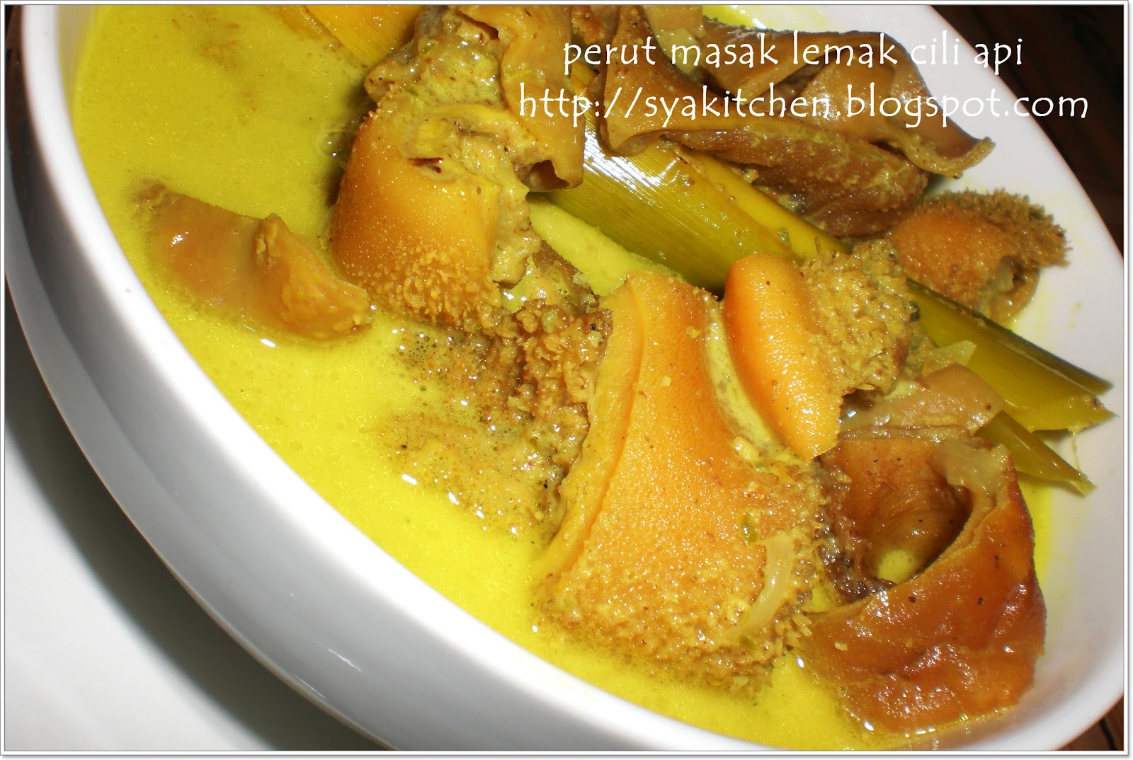 sEg@laNy@ diSiNi: PERUT MASAK LEMAK CILI API