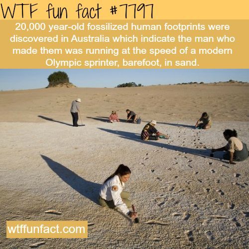60 Amazing Random Facts | Amazing WTF Facts