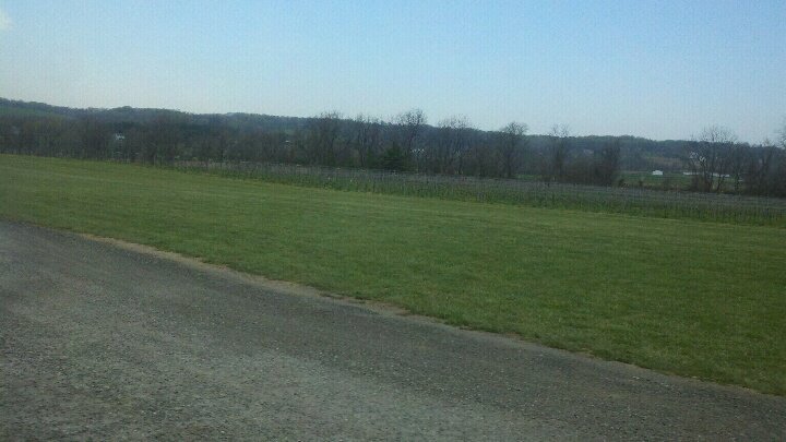 Joseph Scheiner's Wine Blog