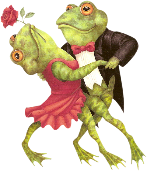 Google Image Result for http://static.ddmcdn.com/gif/willow/frog-info0 ...