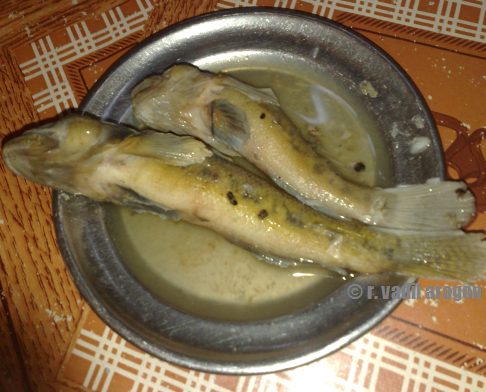 bunog/birut/bukto/palileng, mullet/goby fish ~ PINAKBET REPUBLIC