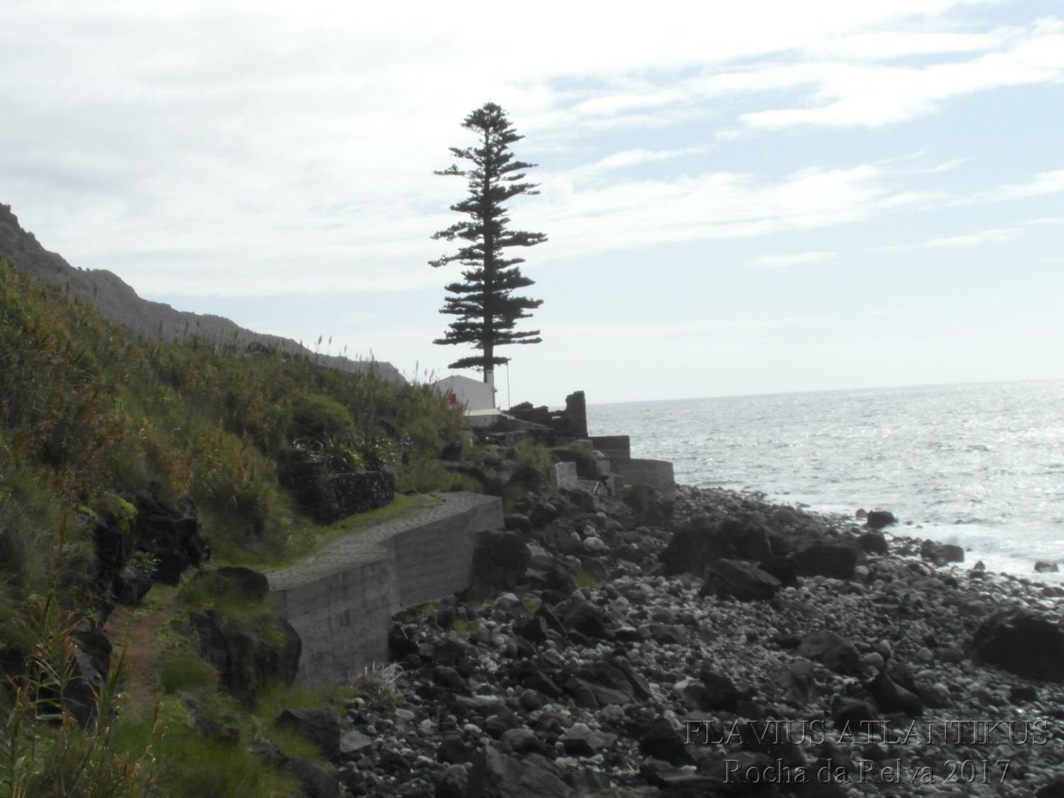 FLAVIUS ATLANTIKUS: Rocha da Relva - S. Miguel Island - Azores - Portugal