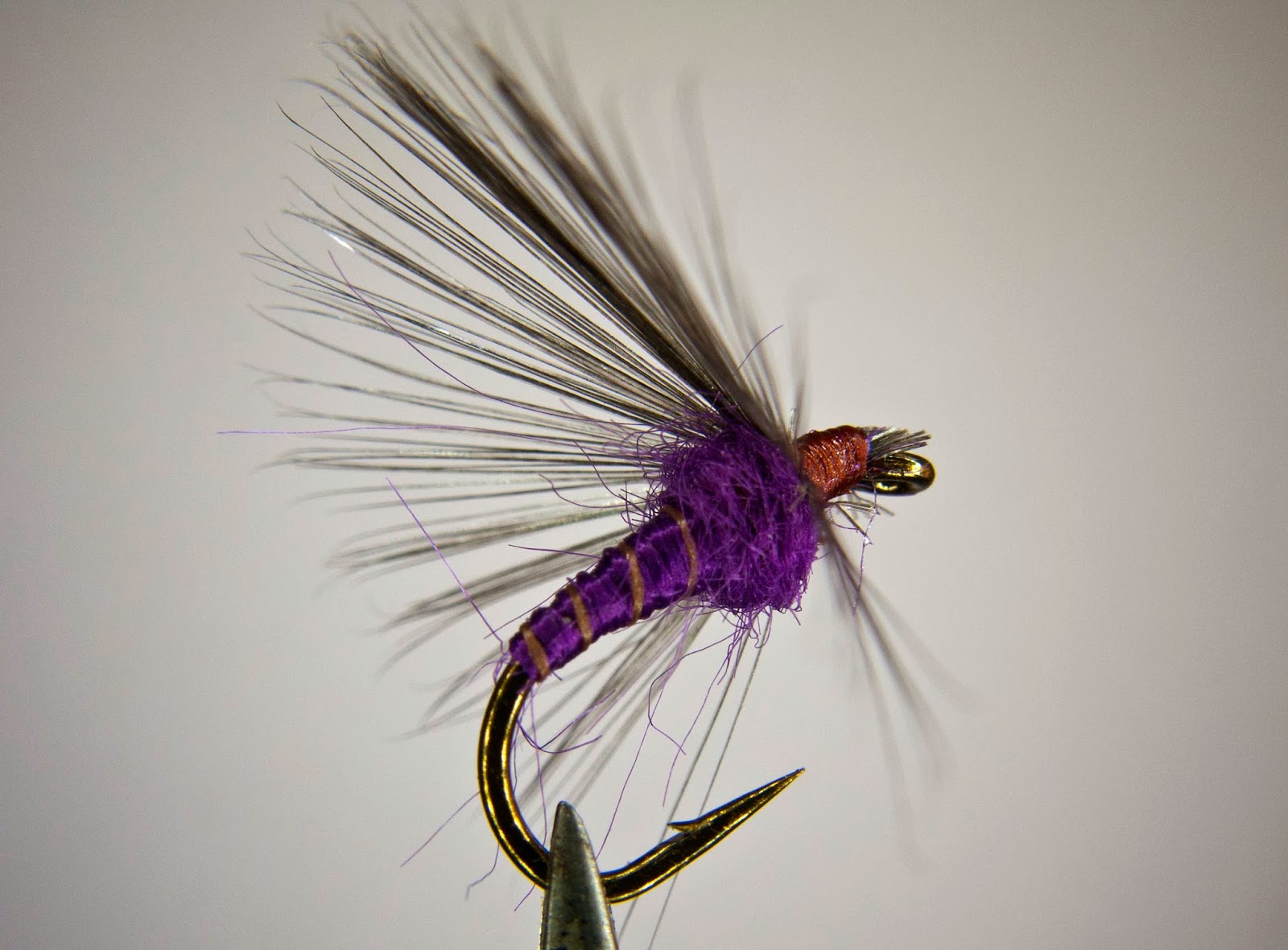 El Maravayu: Los Morados