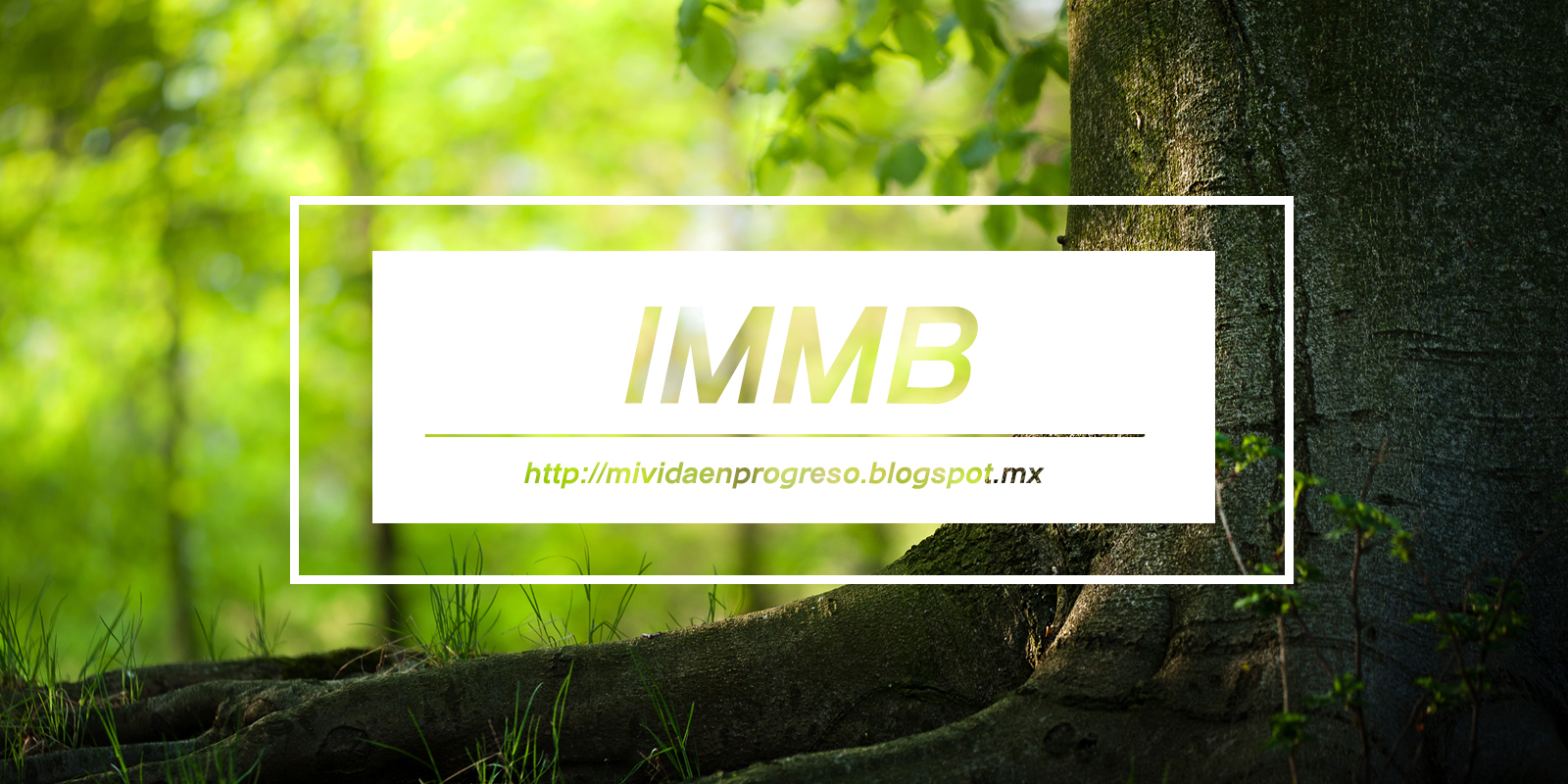 RESÚMEN IMMB: In My Mail Box.