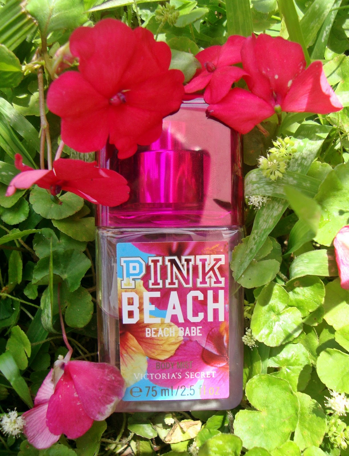 Autênticas Por Opção: Perfume Beach Babe Pink da Victoria's Secret