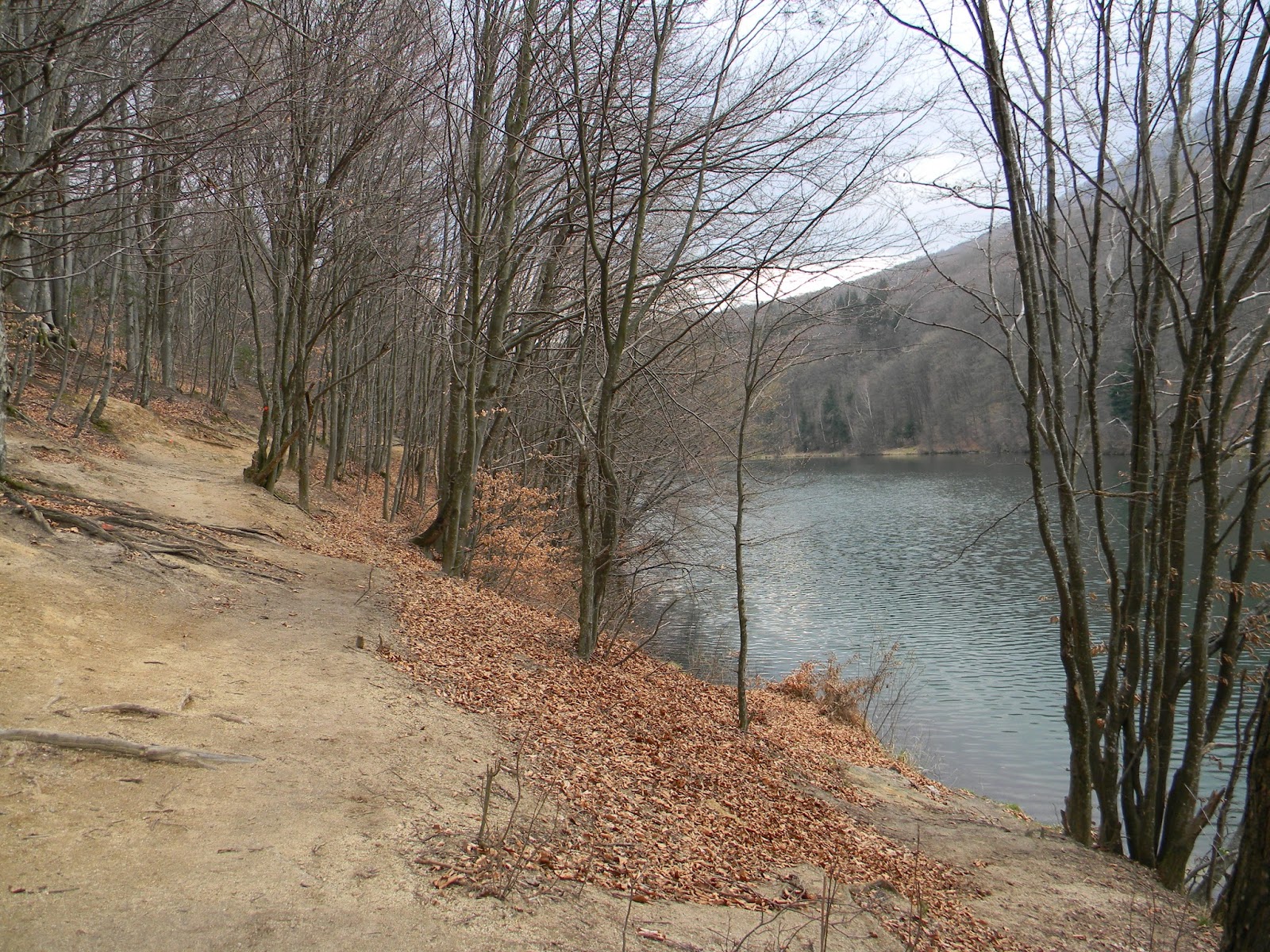 Blog de Calatorii si Drumetii Montane.: Lacul de la Codlea ,jud.Brasov ...