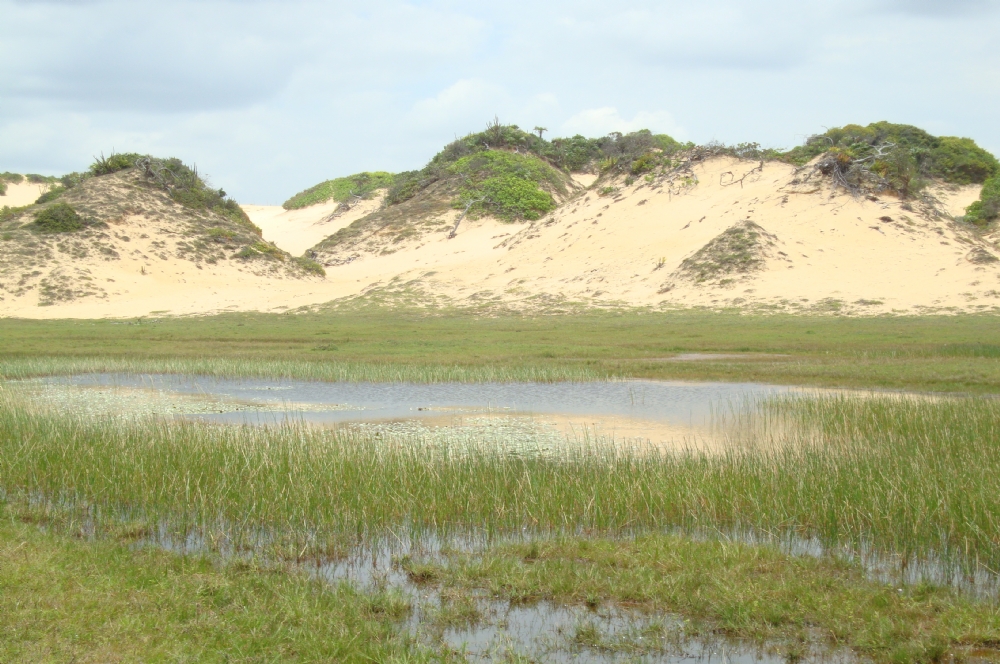 SERGIPE, sua terra e sua gente.: Cidade turística de Pirambu