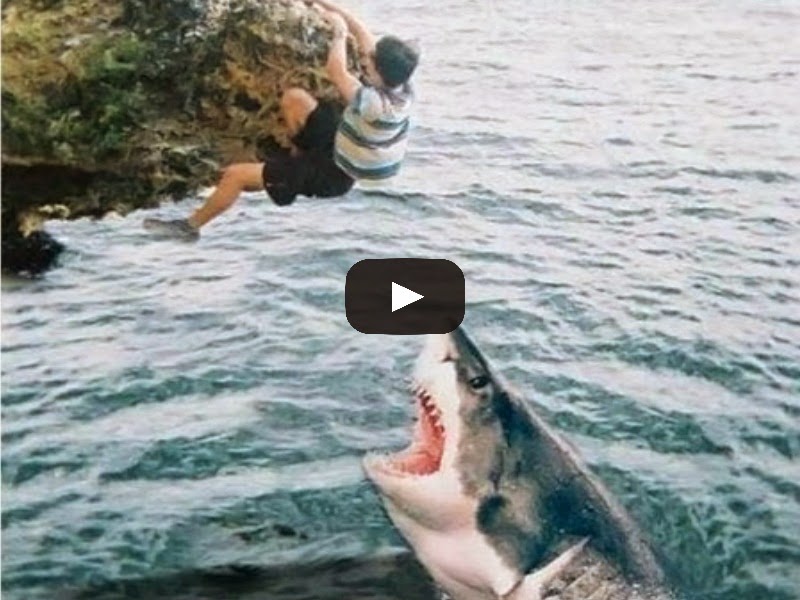 How To Fishing: Best Fishing Fails 2015 - Funny Fish