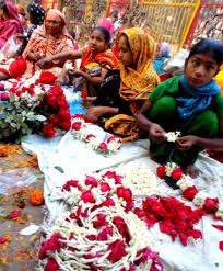 Wallpaper of Mari Gold or Gada Flowers in The Winder of Bangladesh