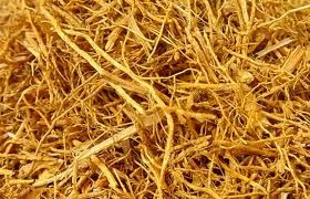 Radix - Radix-Farmakognosi