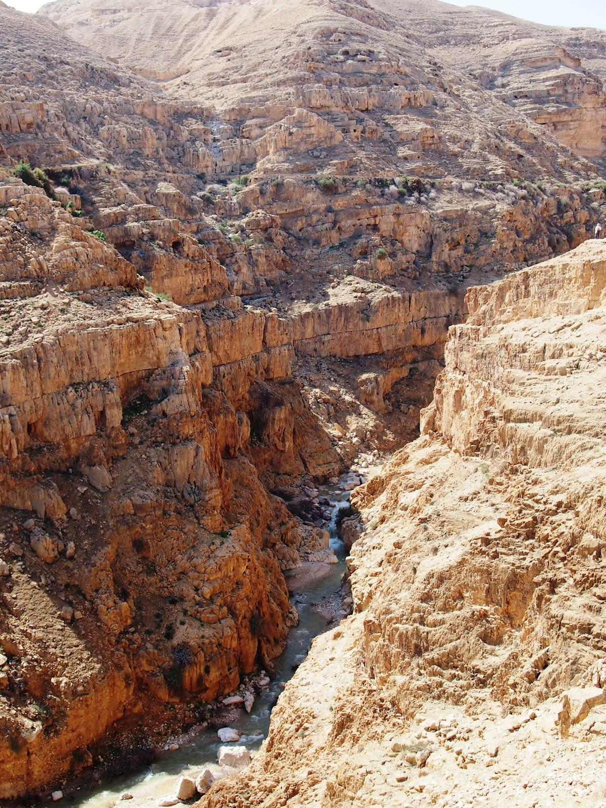 Holy Land, where I stand: Wadi walk in the desert