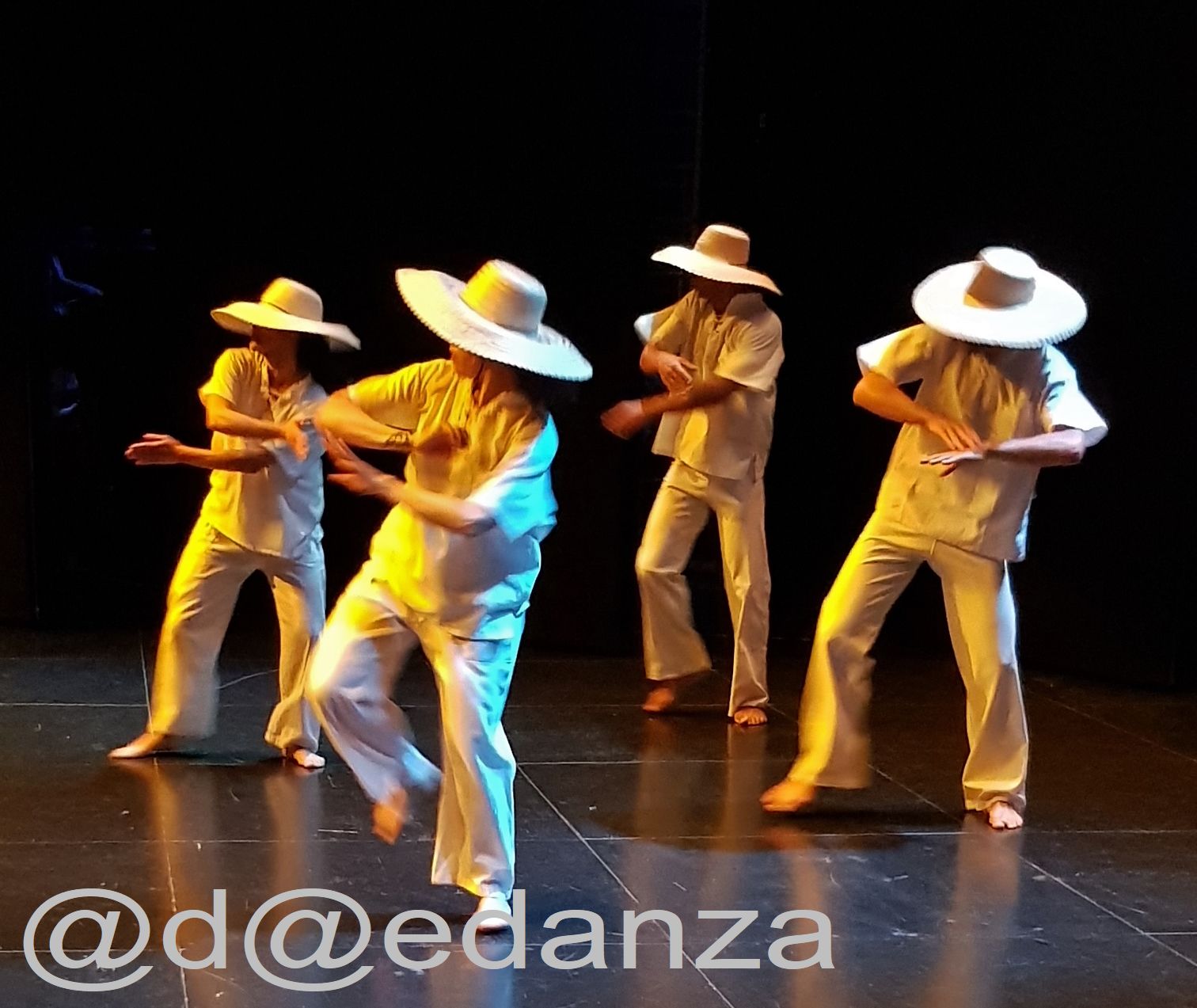 LOS RITMOS QUE HABITAN EN MI. RAZA DANCE EXPERIENCE.