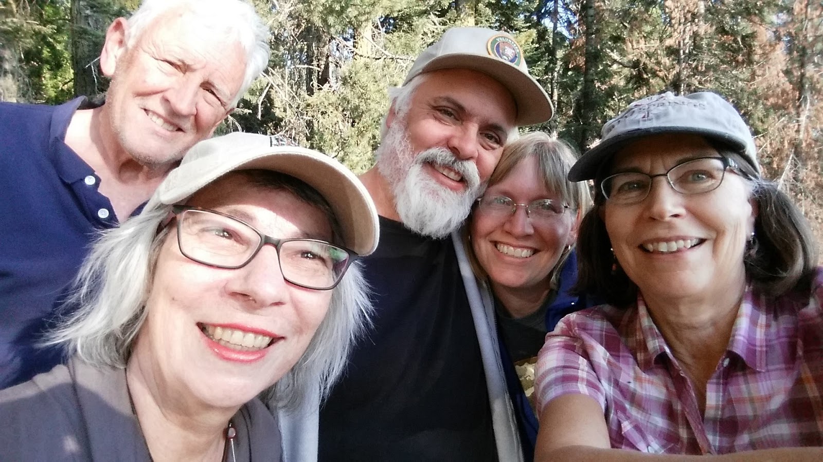 Village Poets of Sunland & Tujunga: The Sequoia Reading - Thanksgiving ...