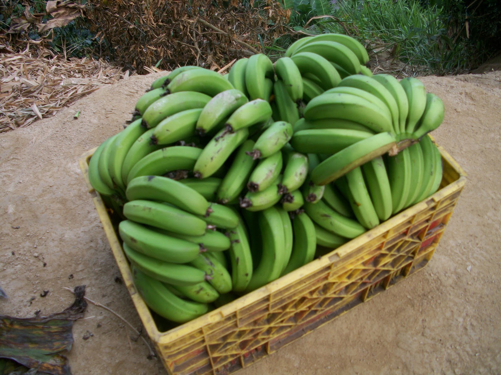 ENCERRADEROS; PASO A PASO.: UNA MIRADA A LA HISTORIA