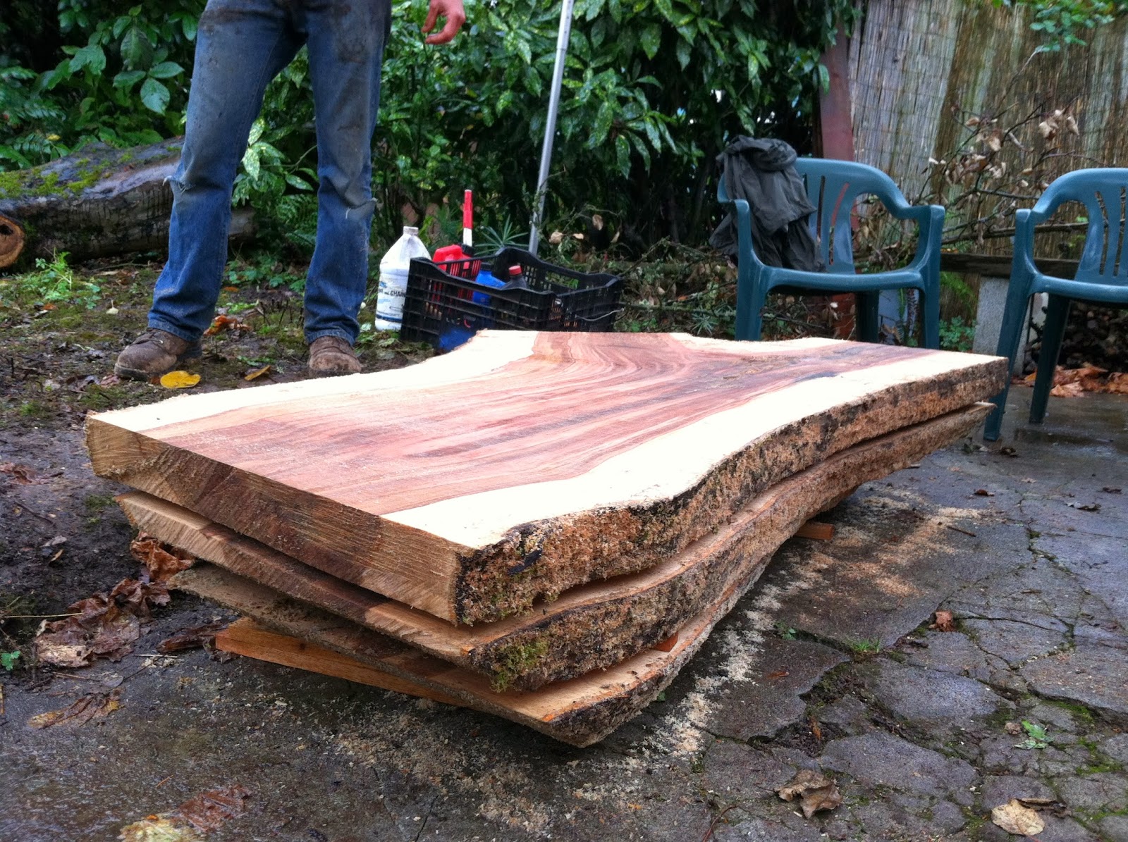 Five Fifths Furniture: The largest Apple tree in the world meets its match