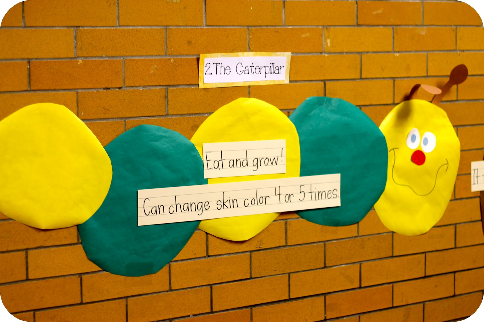 Eberhart's Explorers: Goin' Buggy!