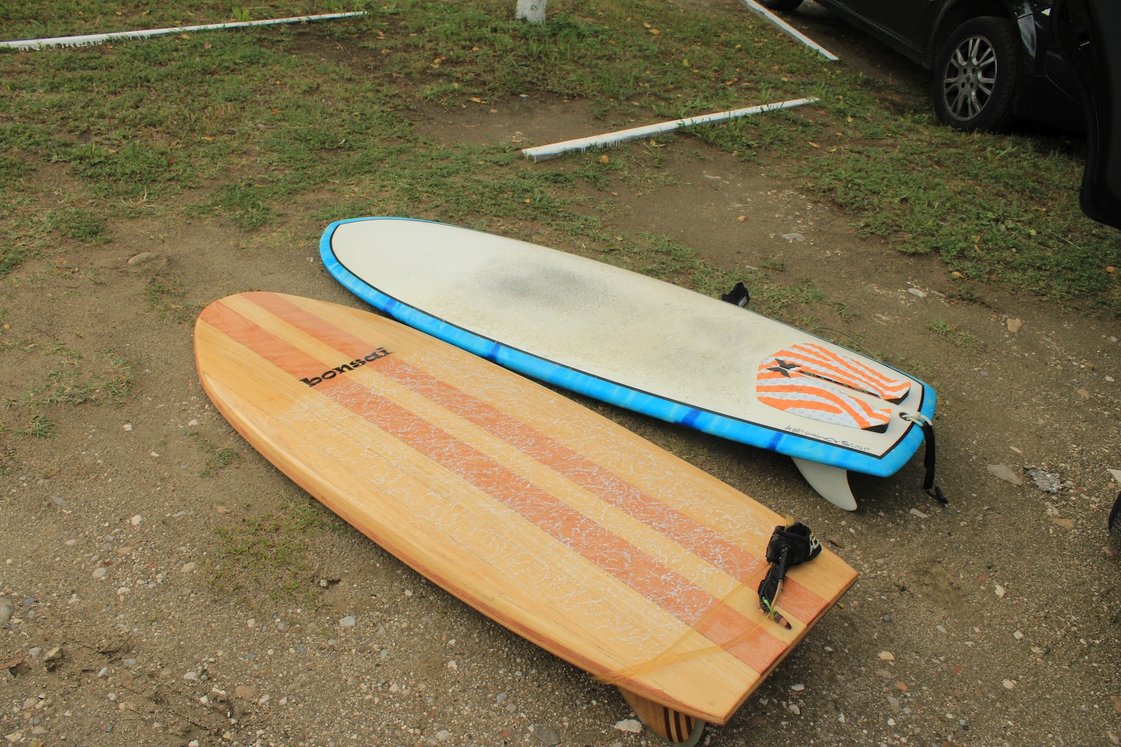 BONSAI MINI SIMMONS HOLLOW WOOD: test mini simmons 21/05/2012