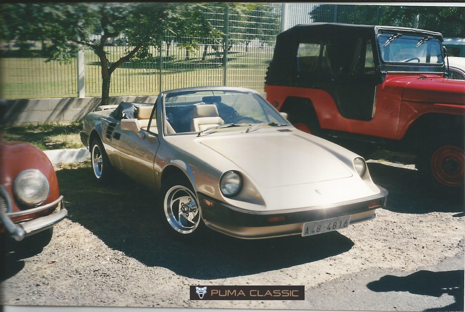 Puma Classic: Foto de época - AM4