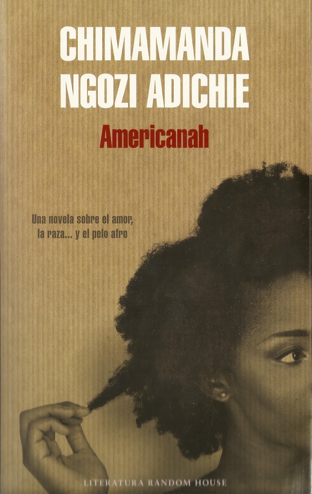 Por los caminos de la tierra oral: Americanah