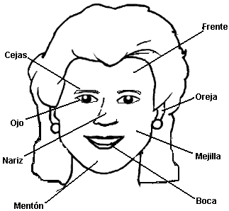 Dibujos para colorear de partes de la cara - Imagui