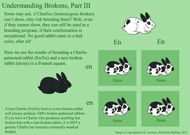 Rabbit Genetics And Musings: Cheat Sheets: Understanding the Broken ...