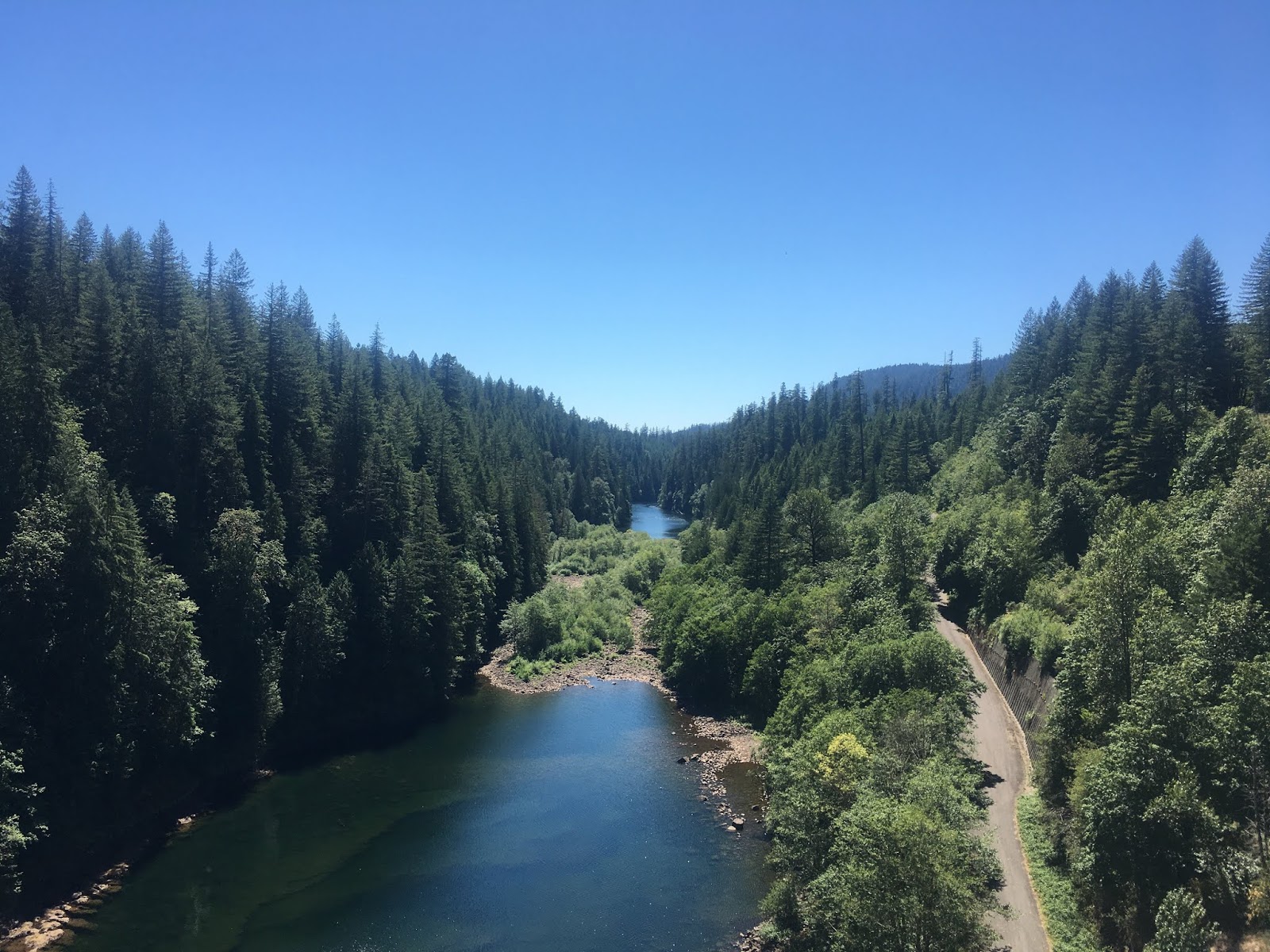 World Forestry Center - International Fellowship Program Blog: Bull Run ...