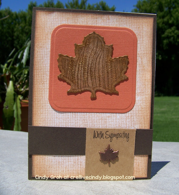 Cre8iveCindy: Fall With Sympathy Card