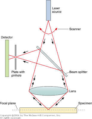 De Histology: Phase-Contrast Microscopy & Differential Interference ...