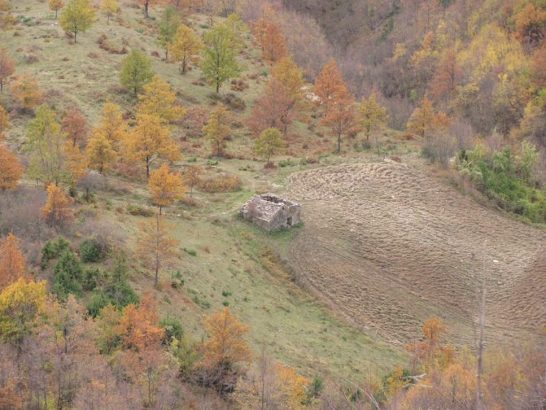 Escursionismo a 360°: Da Lago di Corniolo a monte Ritoio (da Pian dell ...