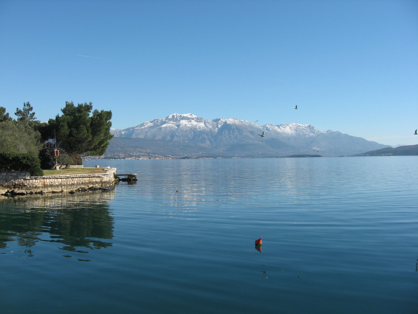 Walking Shoes and a Digital Camera: In Djenovici