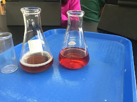 The Science School Yard: 4 Great Ideas To Teach Chemical Reactions