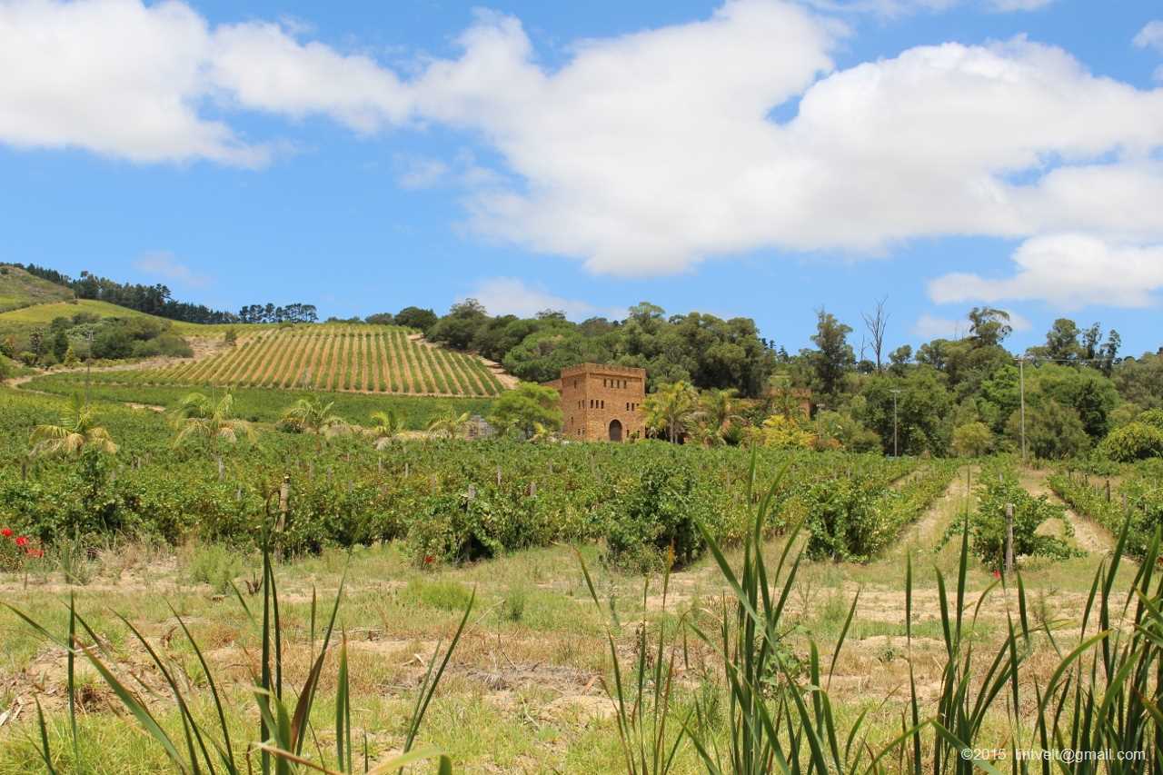 Fort Simon Wine Estate - WineTourismZA South Africa