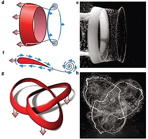 800 million: Vortex Loops, Helical Spring and Hair Vortex