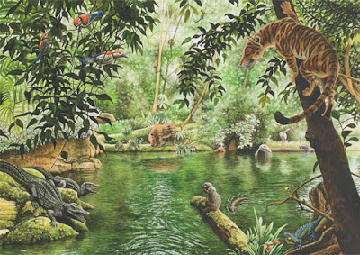 TRAS LAS HUELLAS DE HERÓDOTO. . . : PALEÓGENO.