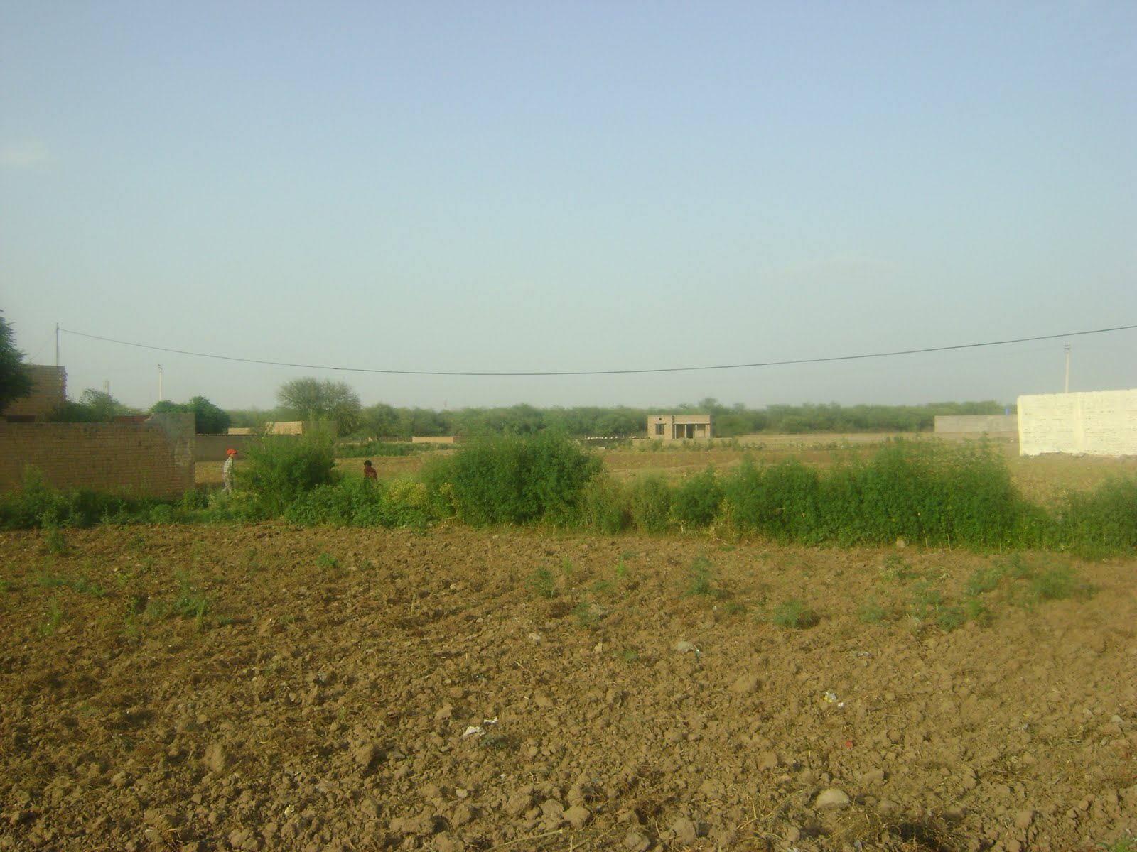 Sada Chakwal: Kalo joo, Mureed, Chakwal