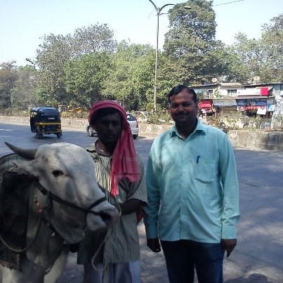 Dr.KALIDAS SHINDE: ''NANDIWALA''NOMADIC TRIBES