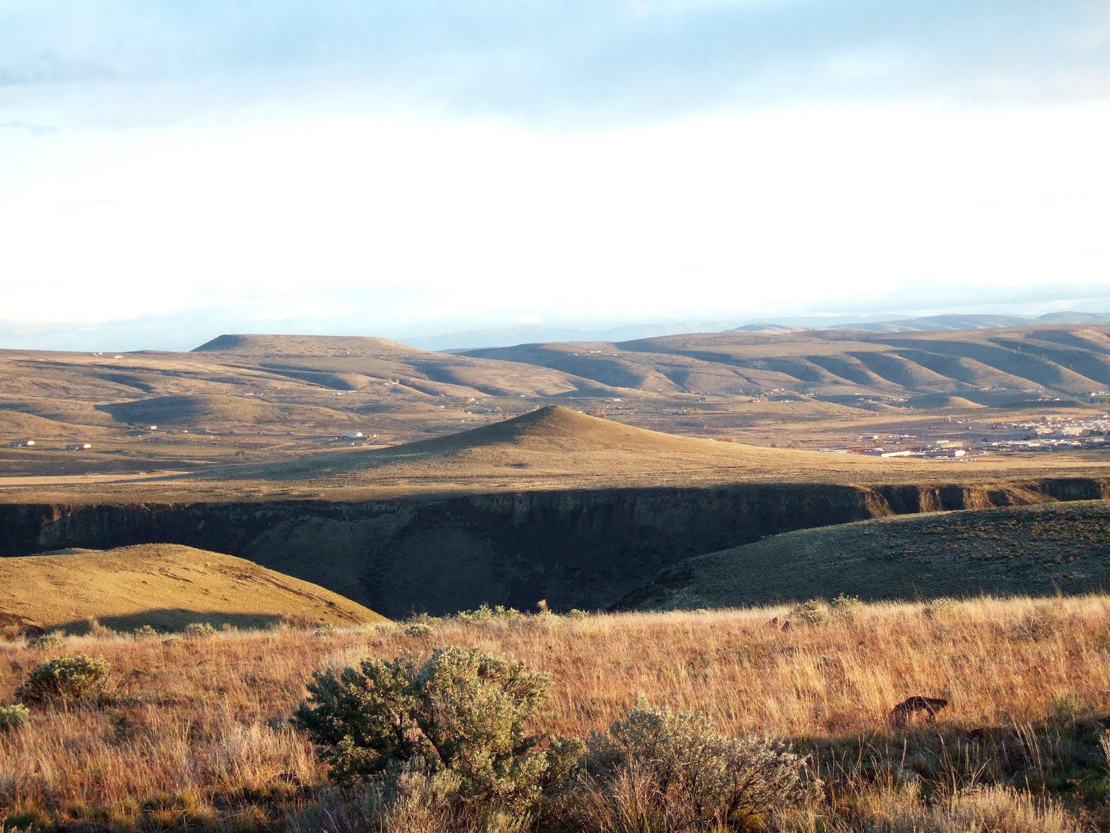 Reading the Washington Landscape: April 2011