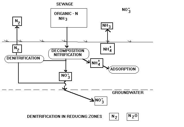 amudu: What is Wastewater Treatment