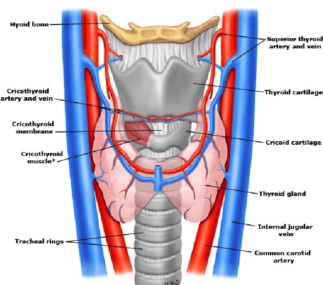 EM Didactic: November 2018