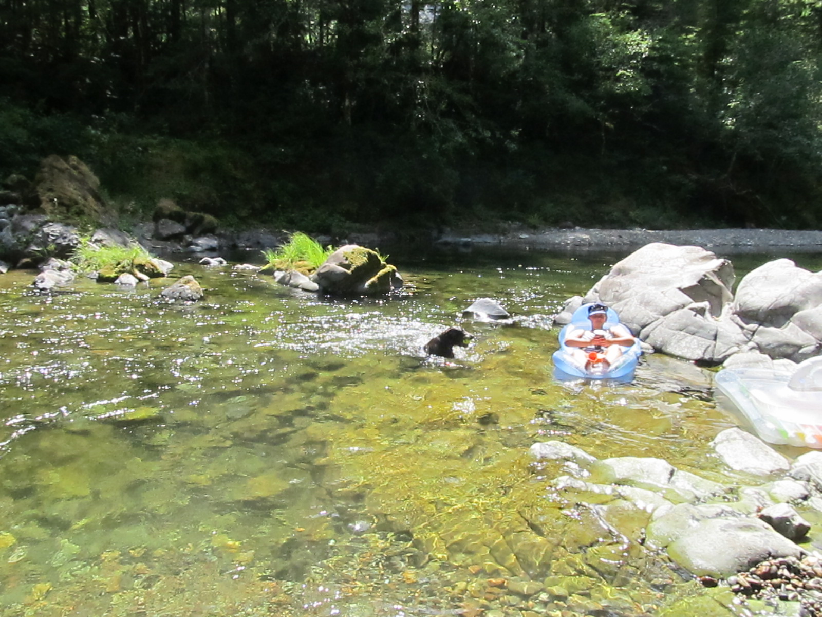 The Closet Hippo: Camping at Yellow Bottom on Quartzville Creek