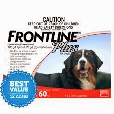 Singpet Pte Coupon Code - upto 20% off Singpet Pte Coupon Codes