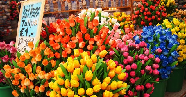 Bloom Stories: The most beautiful flowers markets