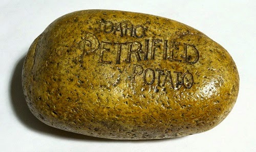 The Evening Class: MING STUDIOS: A MAN OF LETTERS—The Evening Class ...