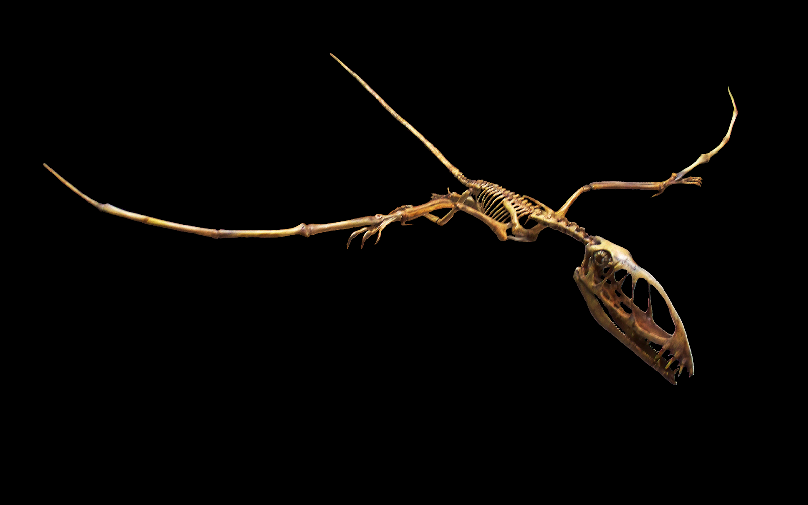 The Expeditioner's Discovery Guild: A little bit of Everything: Museums ...