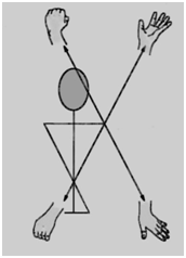 Cogitare Fisioterapia: PNF: Facilitação Neuromuscular Proprioceptiva ...